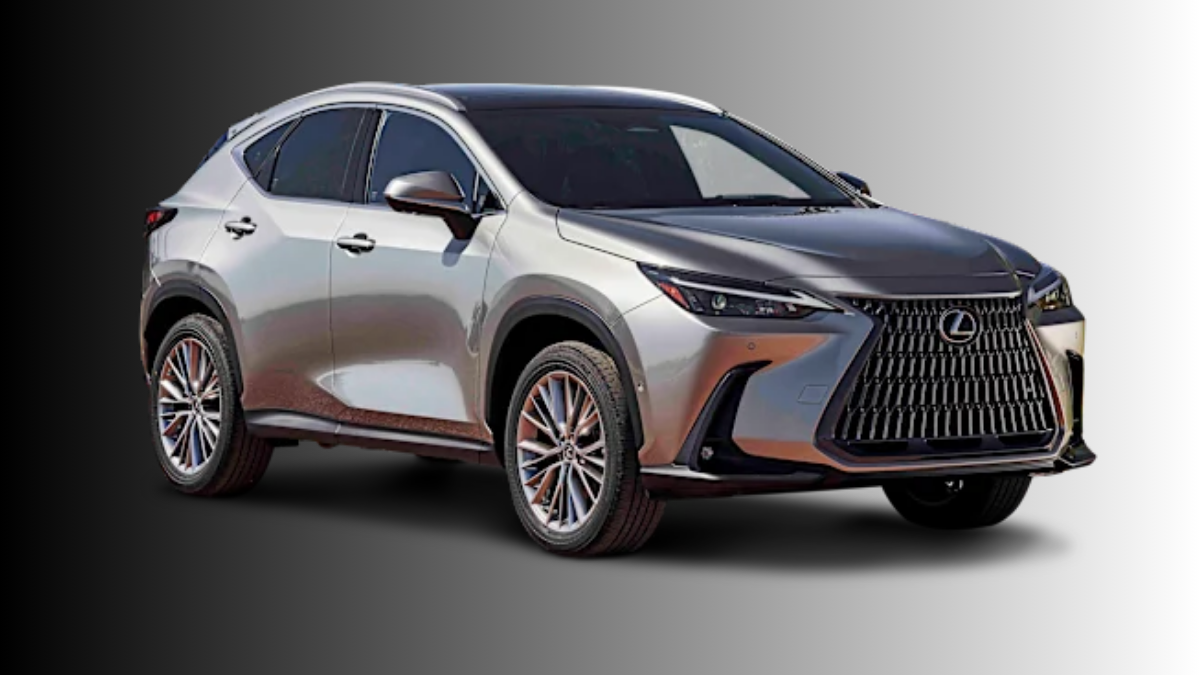 Lexus NX 2022 Review Review – Expert Analysis & Verdict | CarDrav